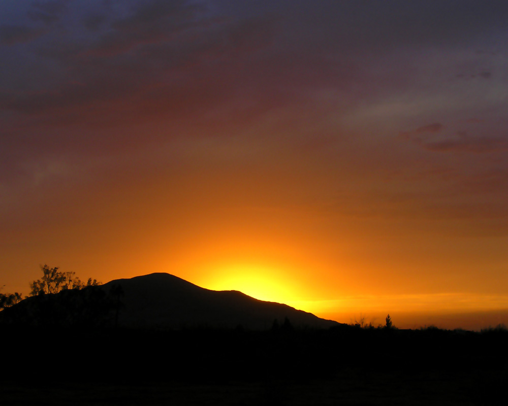 Celebrate the Summer Solstice Like a Green Diva – The Green Divas