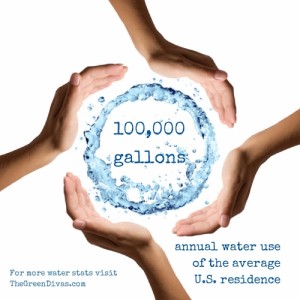 18 Facts About Water & What You Can Do to Conserve It – The Green Divas